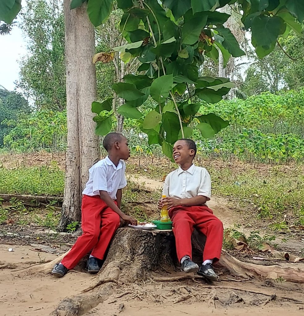 Zanzibar school food project – Zanzibar Student Aid